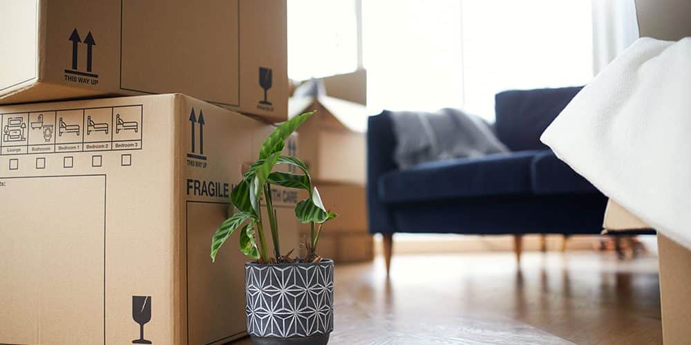 Moving day checklist: Everything to remember – Mitchells Moving Company